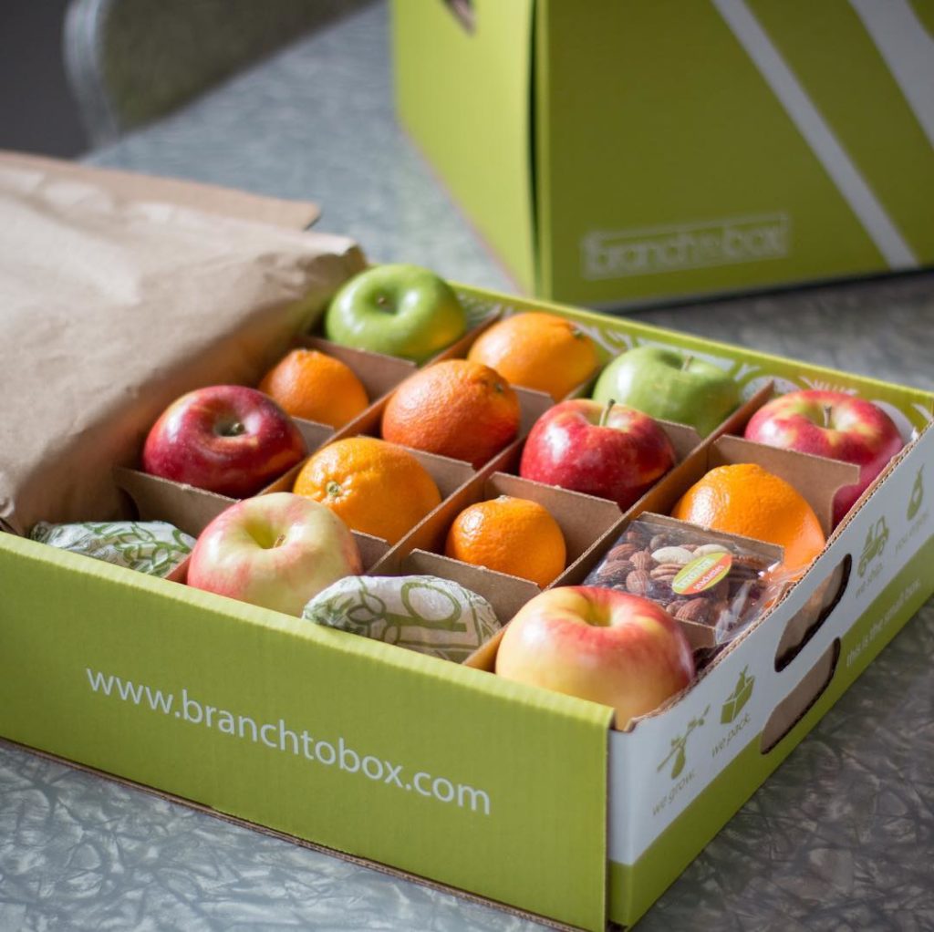 Small Box - Branch to Box