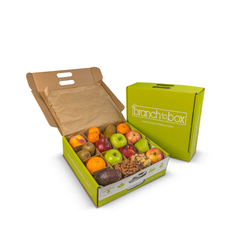 Small Box - Branch to Box